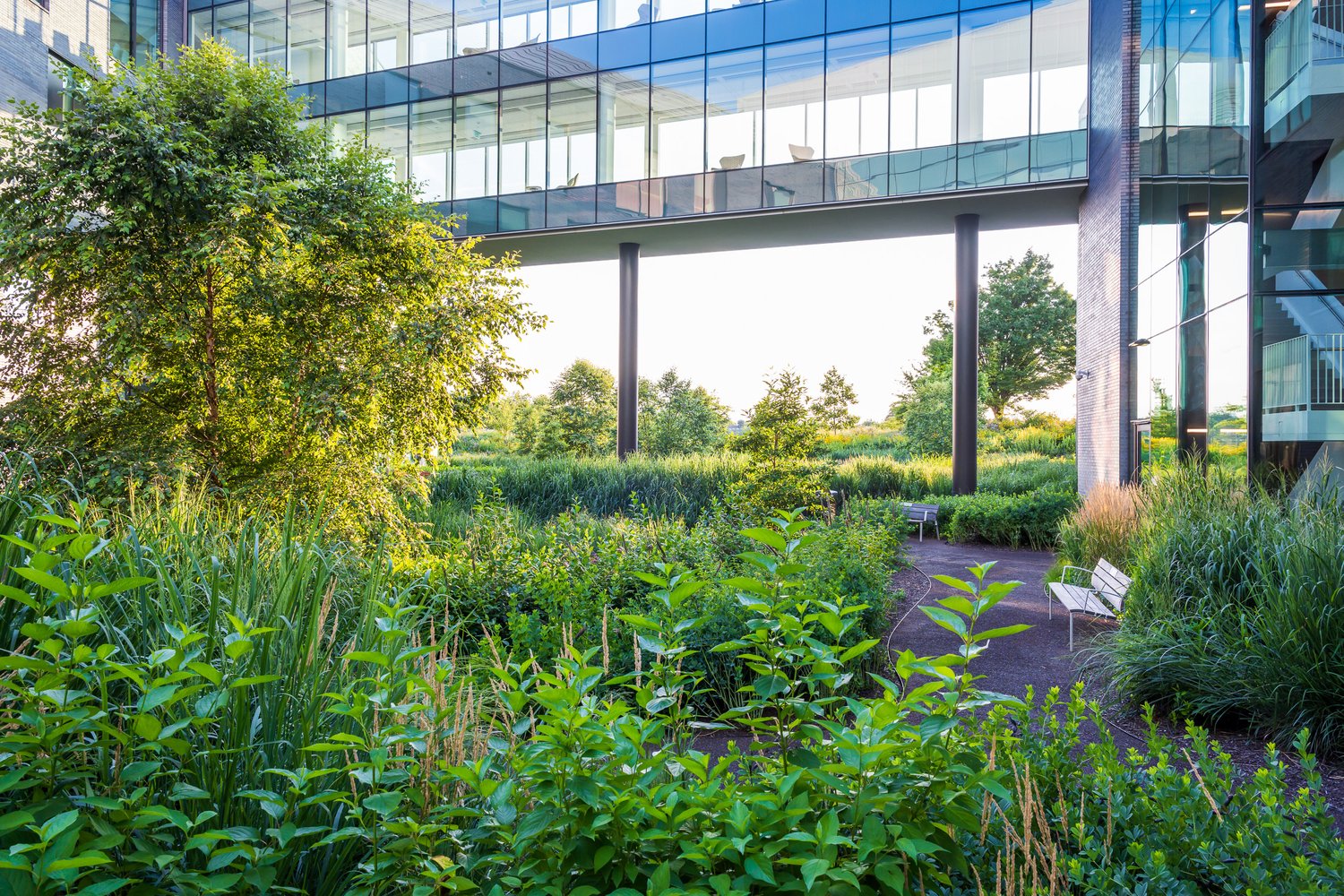 Penn Medicine Radnor Gardens | OncoLink